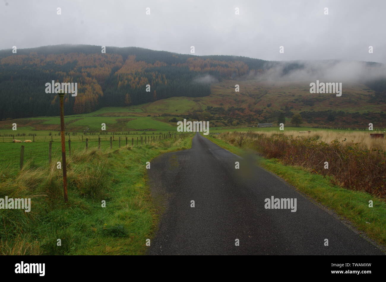 The Loch Lomond and Cowal Way. Cowal peninsula. Highlands. Scotland. UK ...