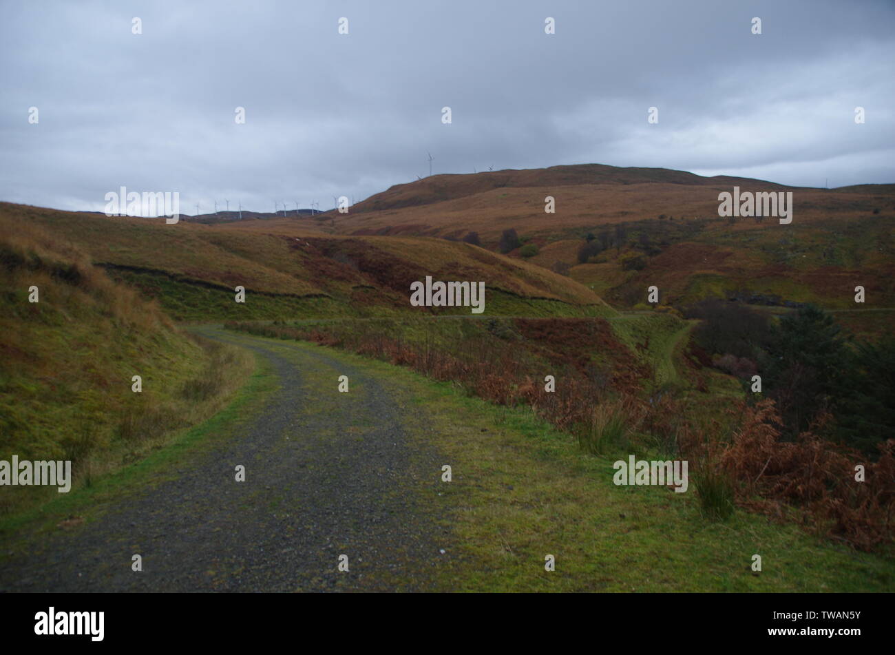 The Loch Lomond and Cowal Way. Cowal peninsula. Highlands. Scotland. UK ...