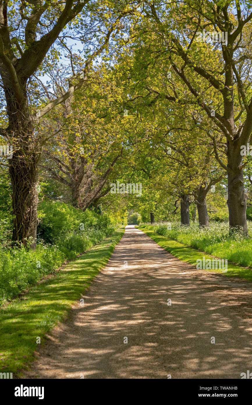 Sutton hall suffolk hi-res stock photography and images - Alamy