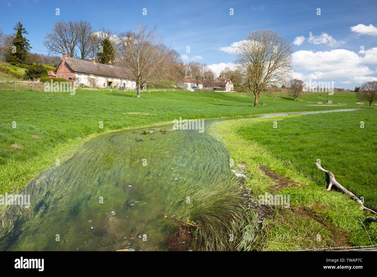 The River Ebble flowing though fields in the village of Fifield Bavant ...