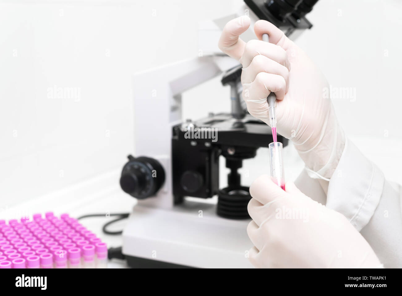 Scientist Filling Test Tube With Pipette In Laboratory. Close up view ...
