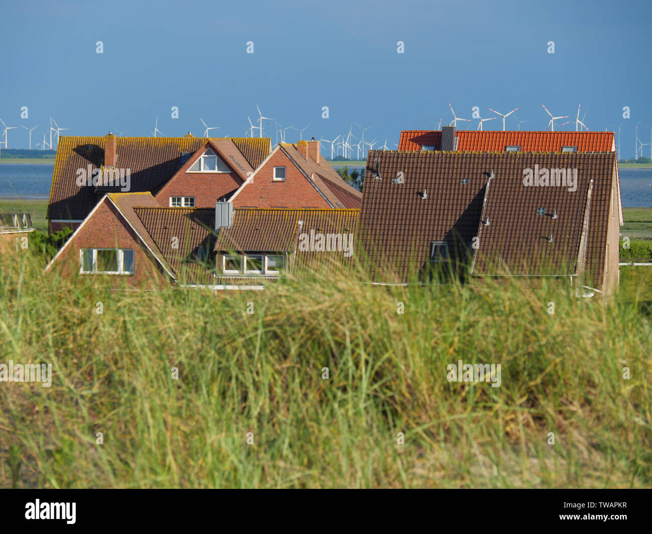 baltrum in germany Stock Photo - Alamy