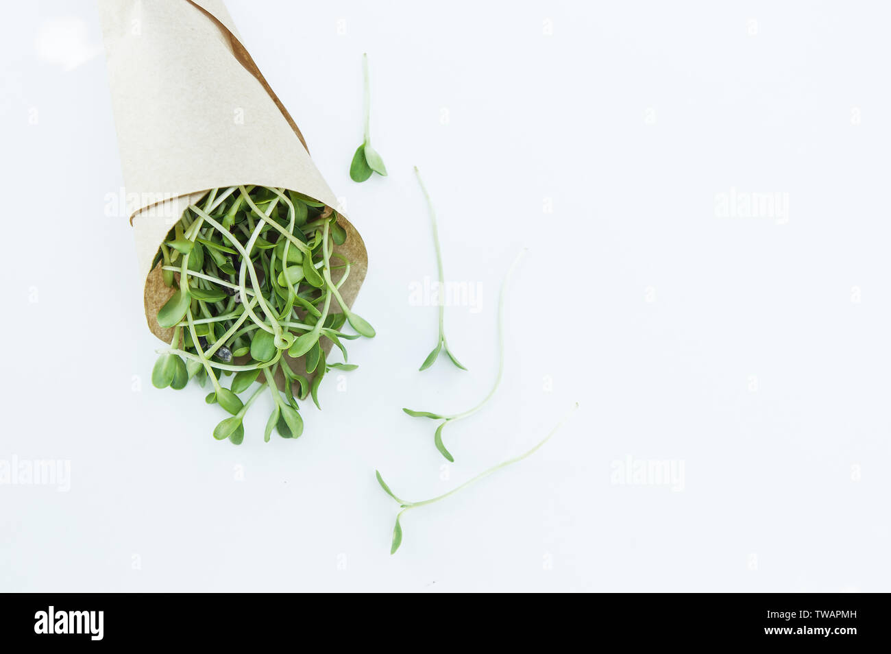 Fresh microgreen on the white background in natural light Stock Photo ...