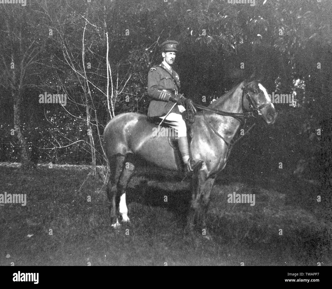 Cavalry and ww1 hi-res stock photography and images - Alamy