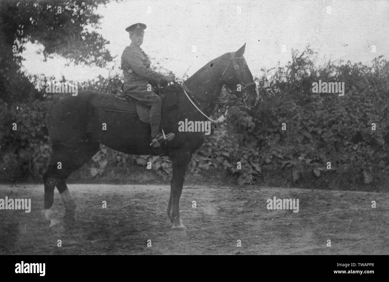 Cavalry and ww1 hi-res stock photography and images - Alamy