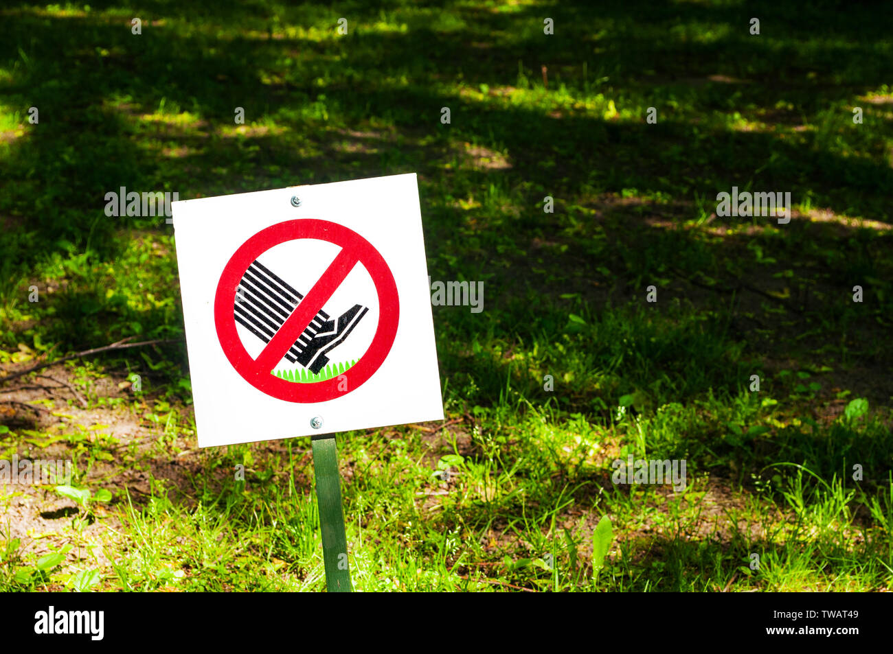 Do not walk the lawn - sing on the background of the lawn. The ...
