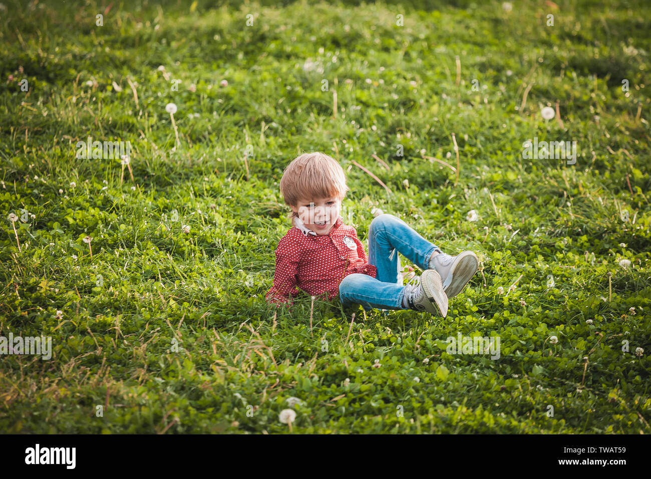 Cute little boy at summer day playing and smiling Stock Photo - Alamy
