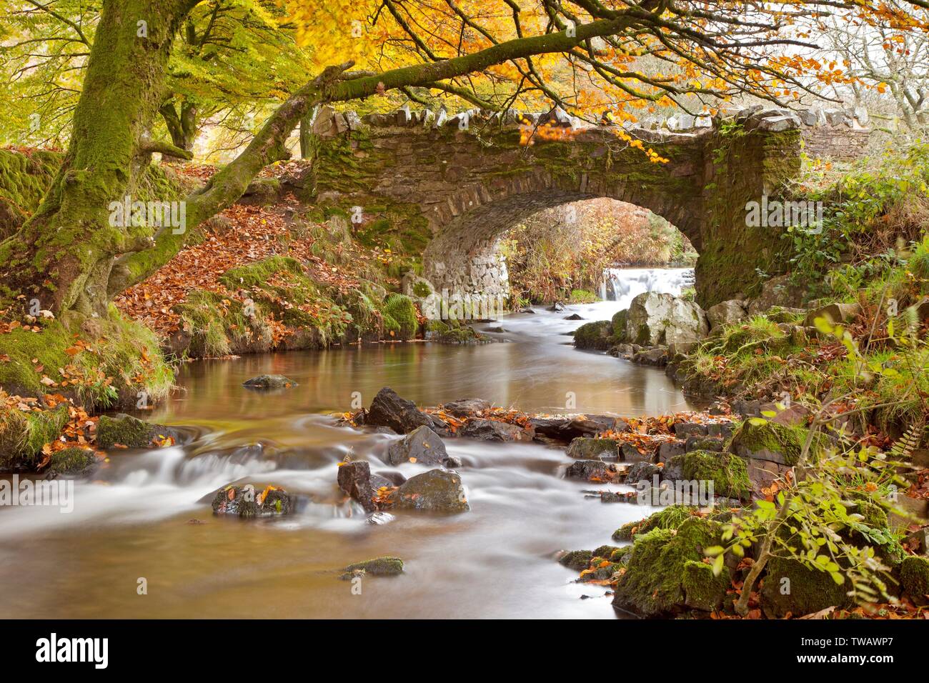 Great Britain, England, Robbers Bridge, Exmoo Stock Photo - Alamy