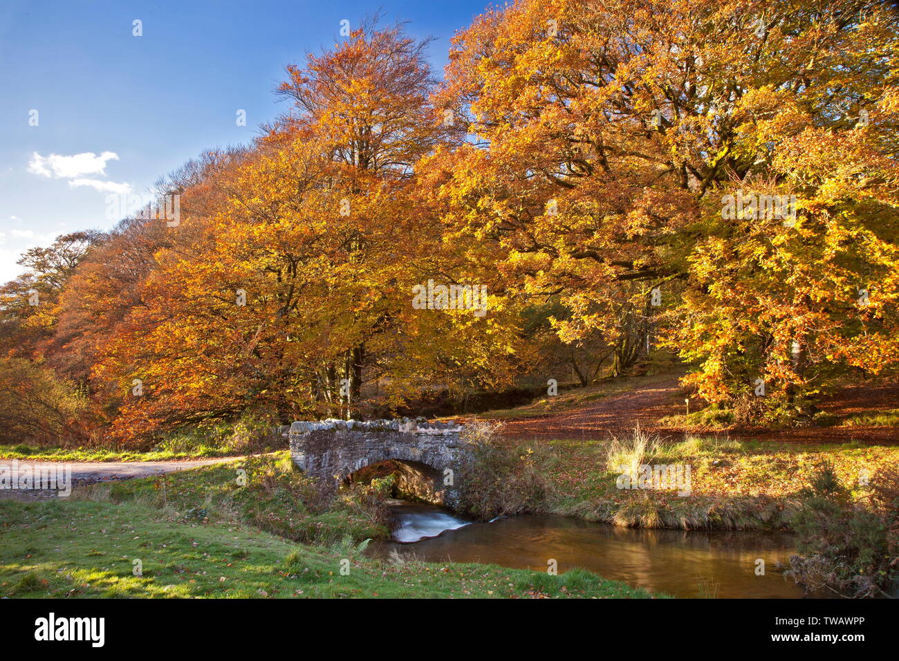 England the bridge hi-res stock photography and images - Alamy