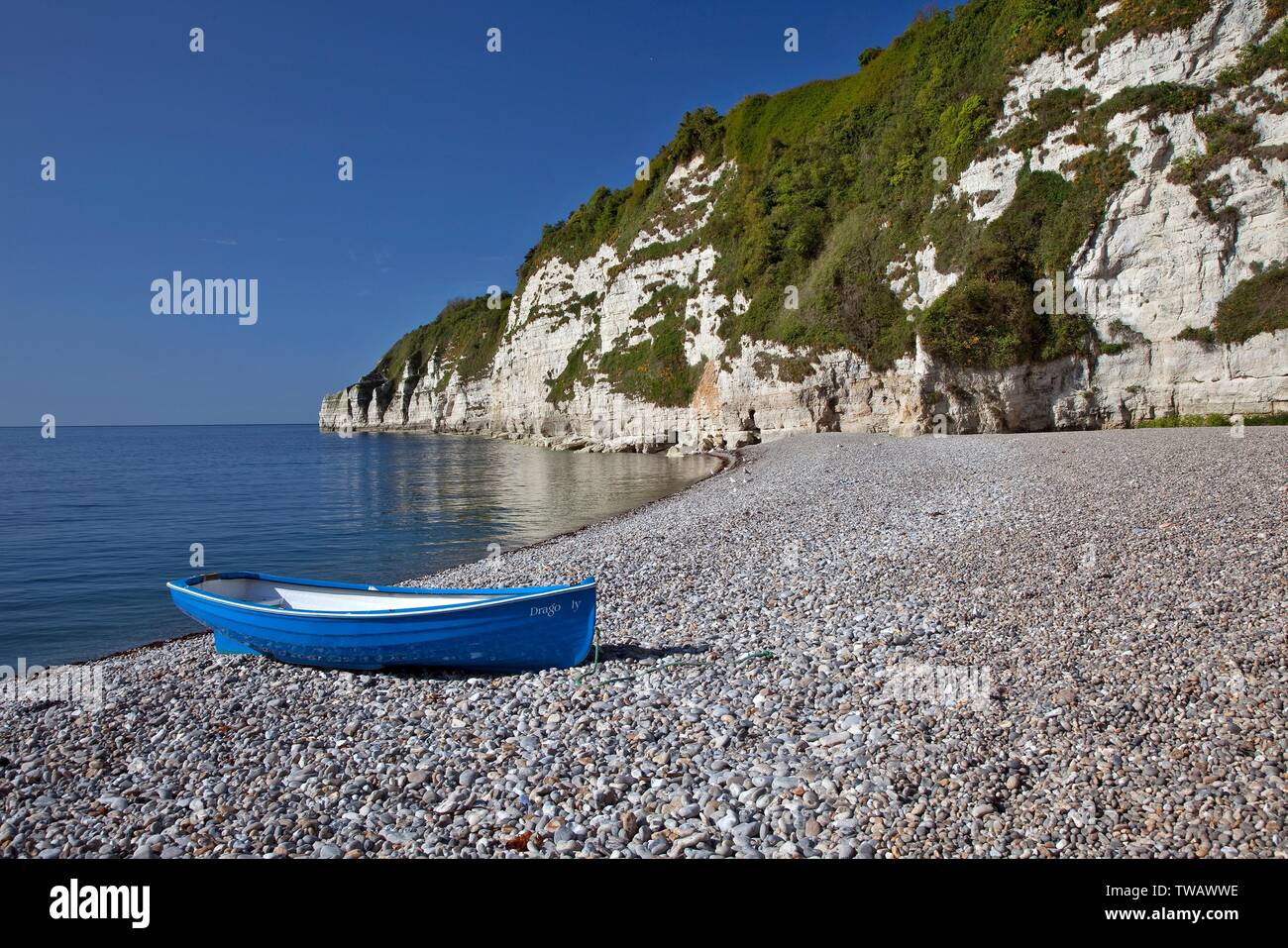 Beer head devon hi-res stock photography and images - Alamy