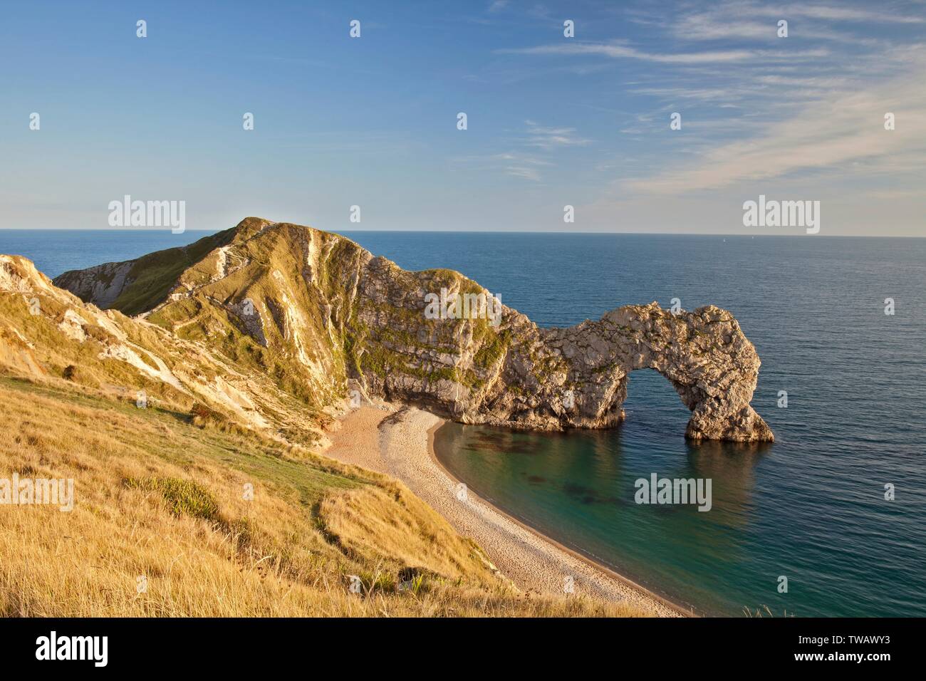 Dorse hi-res stock photography and images - Alamy