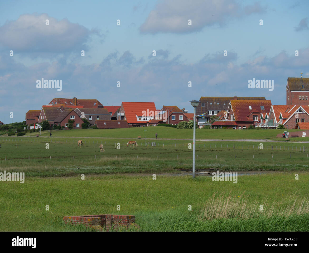 the german Island baltrum Stock Photo - Alamy