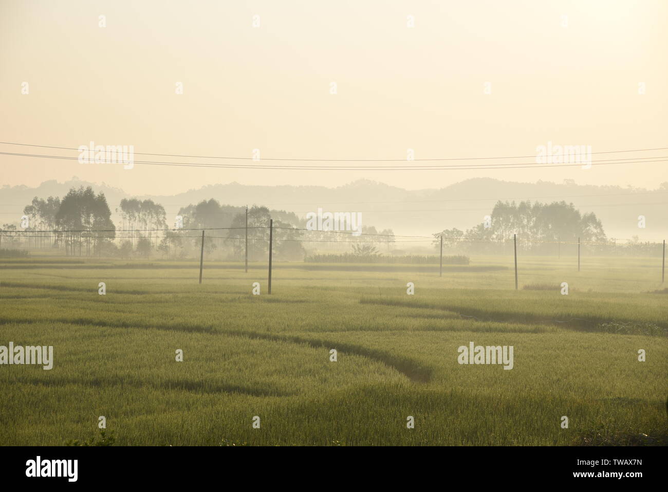 The country in the morning light Stock Photo - Alamy