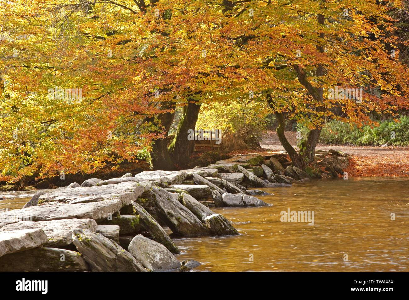 Great Britain, England, Tarr Steps, Exmoo Stock Photo - Alamy