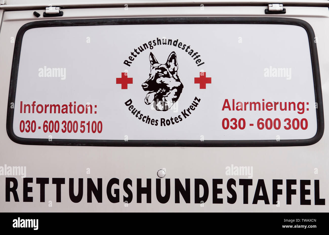 Rescue dog training detection hi-res stock photography and images - Alamy