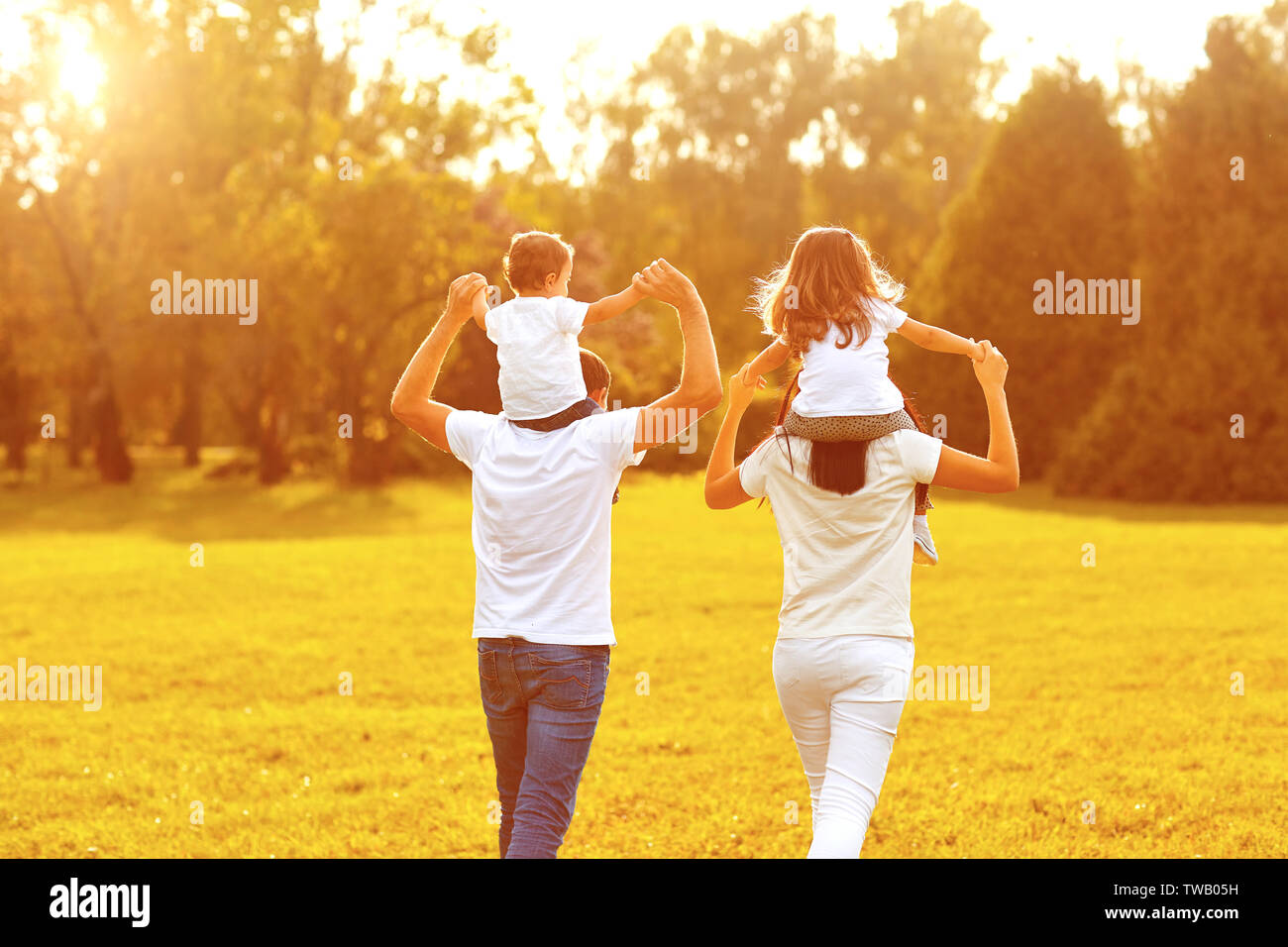 View from behind. A family with children are walking on the grass in a ...