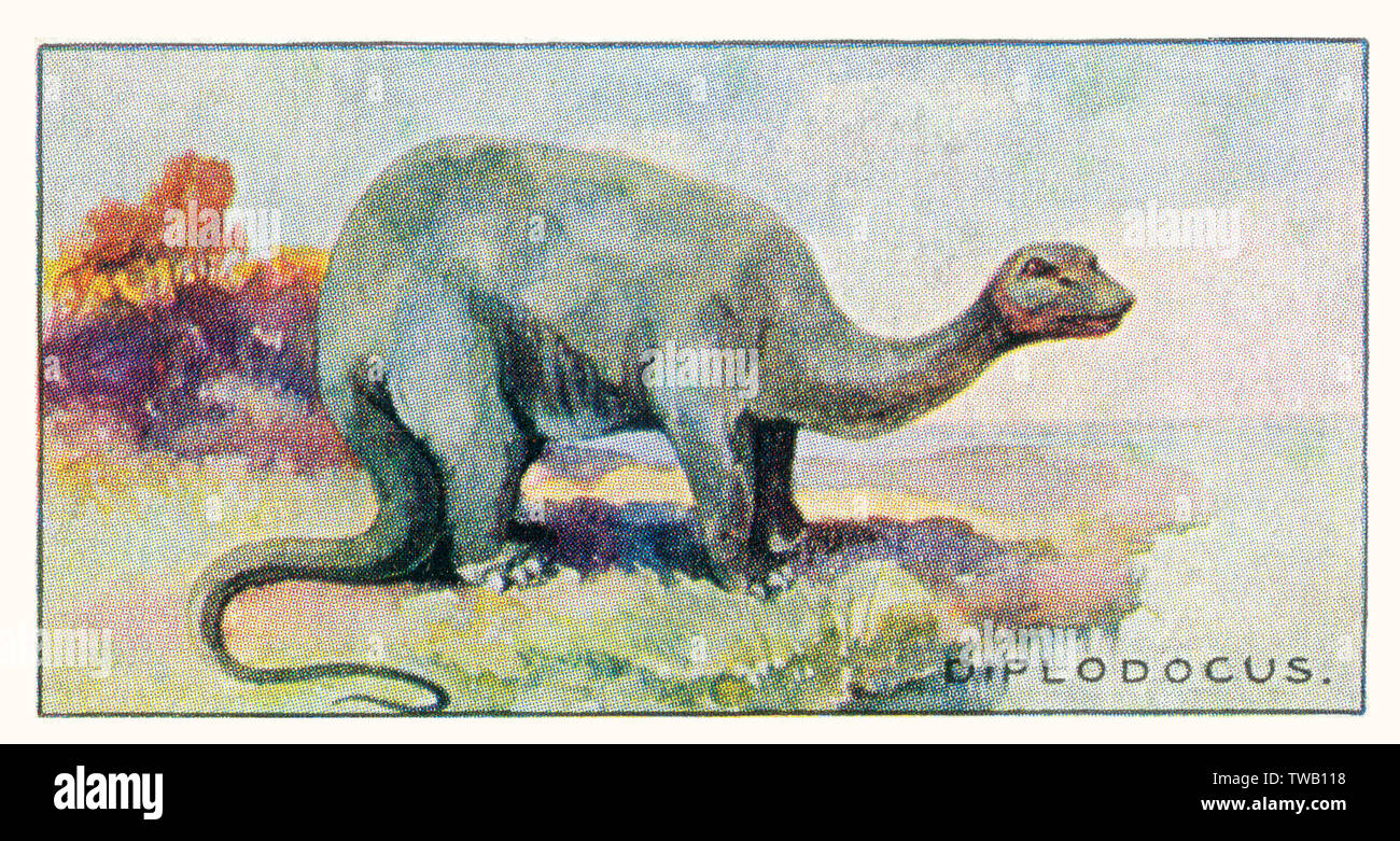 Diplodocus hi-res stock photography and images - Alamy