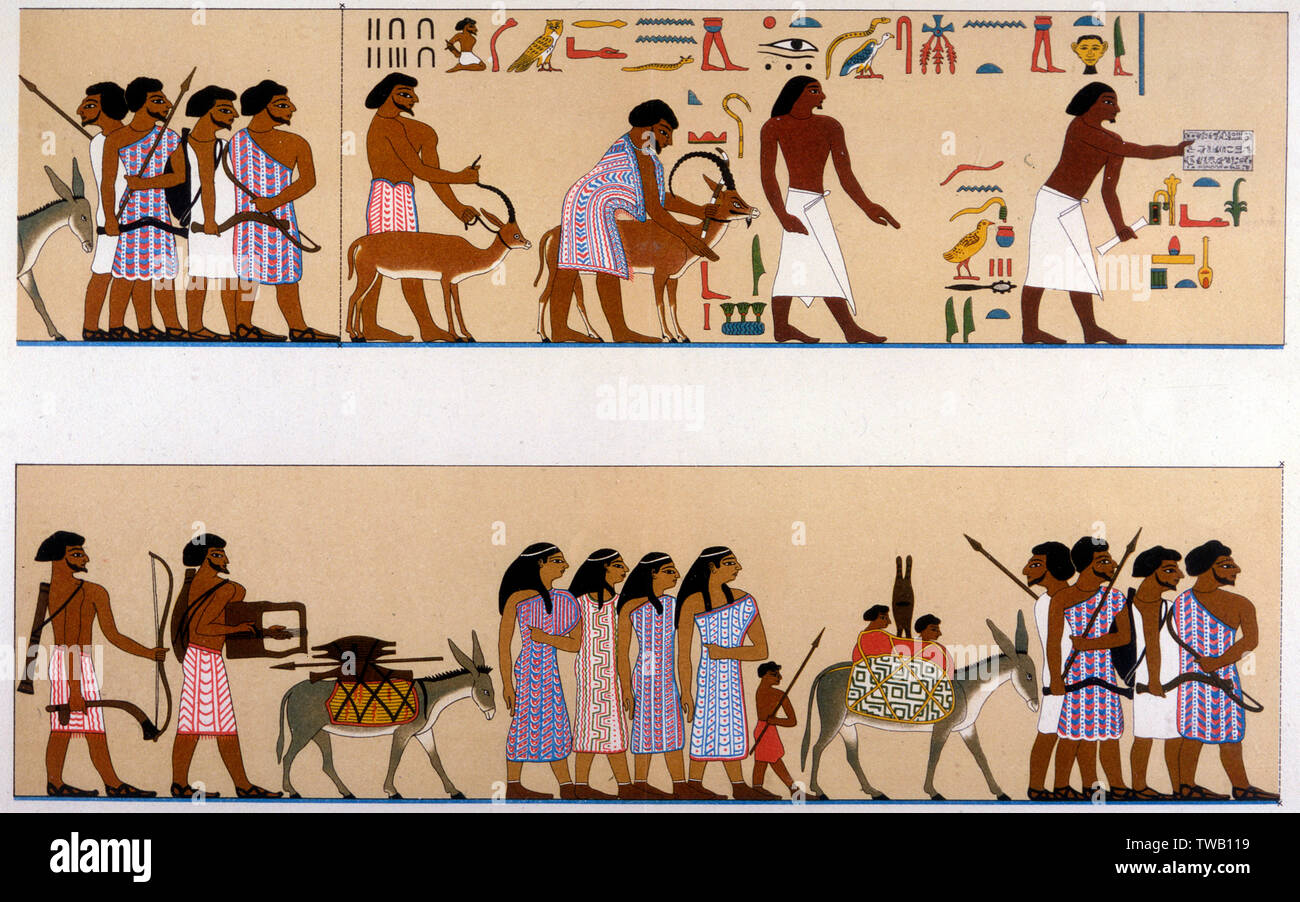 Migration migration hi-res stock photography and images - Alamy