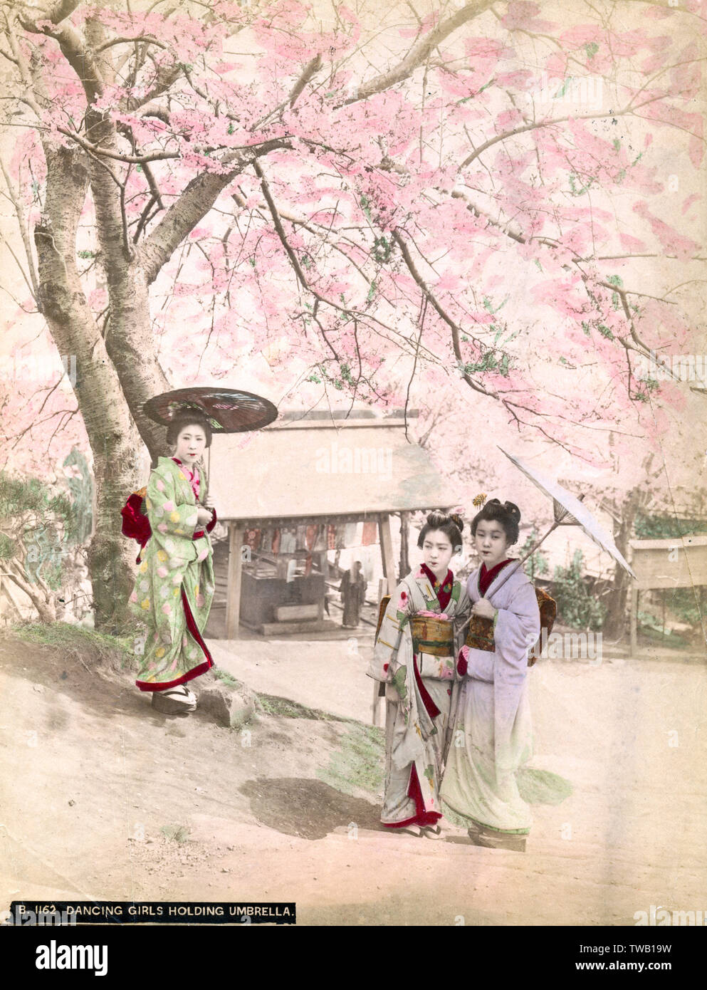 Three Geishas High Resolution Stock Photography and Images - Alamy