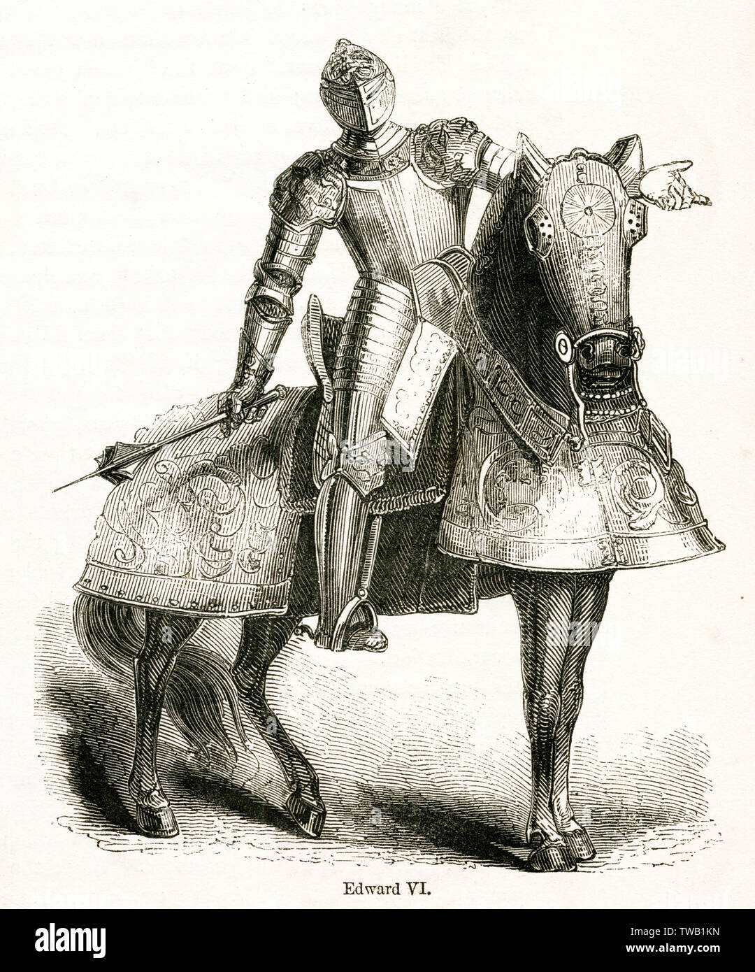 Barding hi-res stock photography and images - Alamy