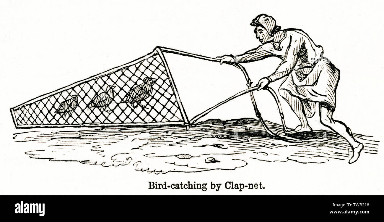 Net for catching birds Cut Out Stock Images & Pictures - Alamy