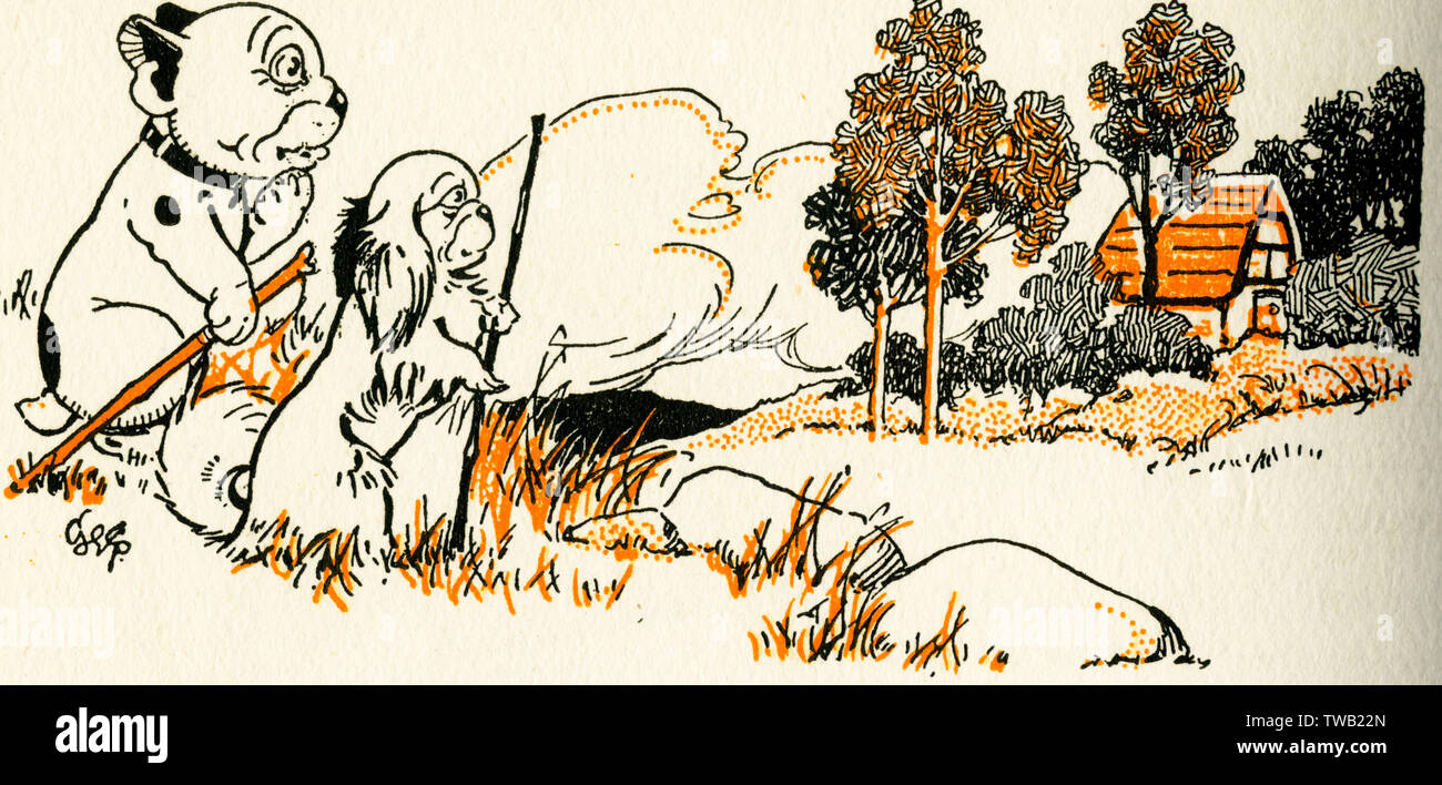 Bonzo hi-res stock photography and images - Alamy