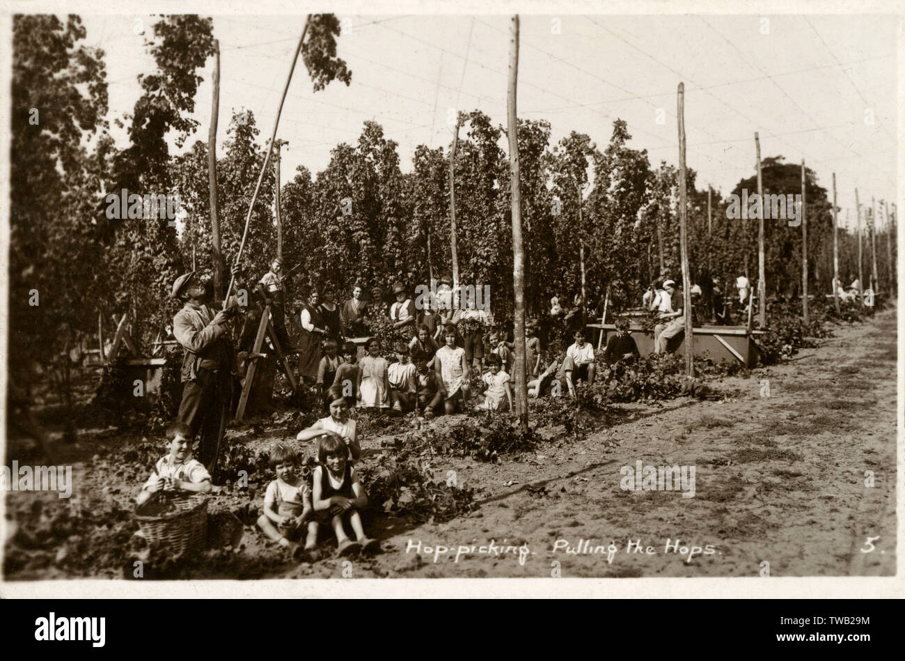 Kent Hop Pickers High Resolution Stock Photography and Images - Alamy