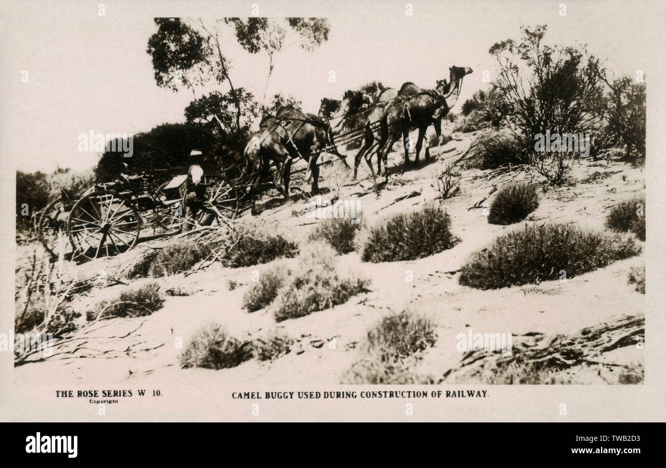 Building the Trans-Australian Railway - using a Camel Buggy Date: 1914 ...