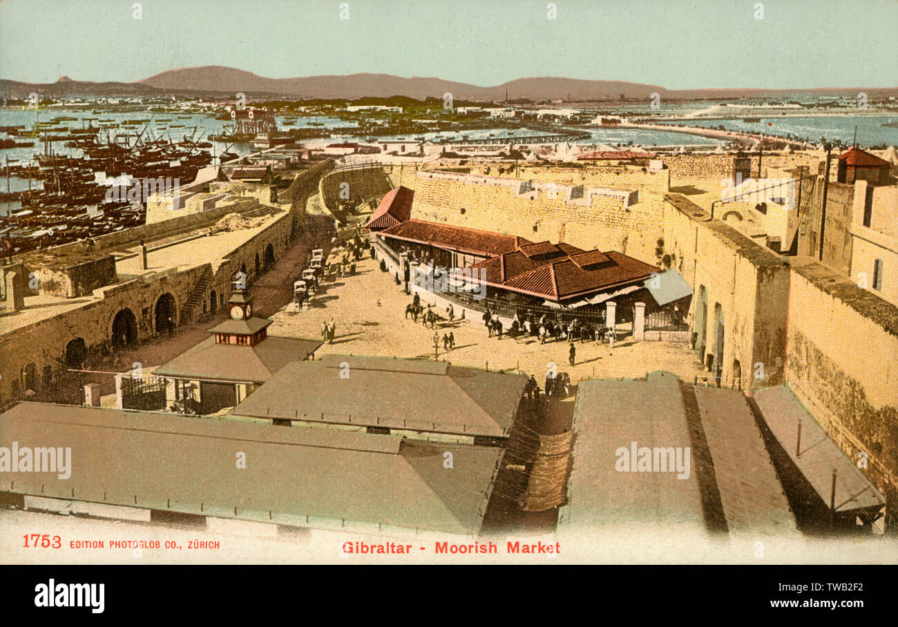 Large hunted deer - Germany Stock Photo - Alamy