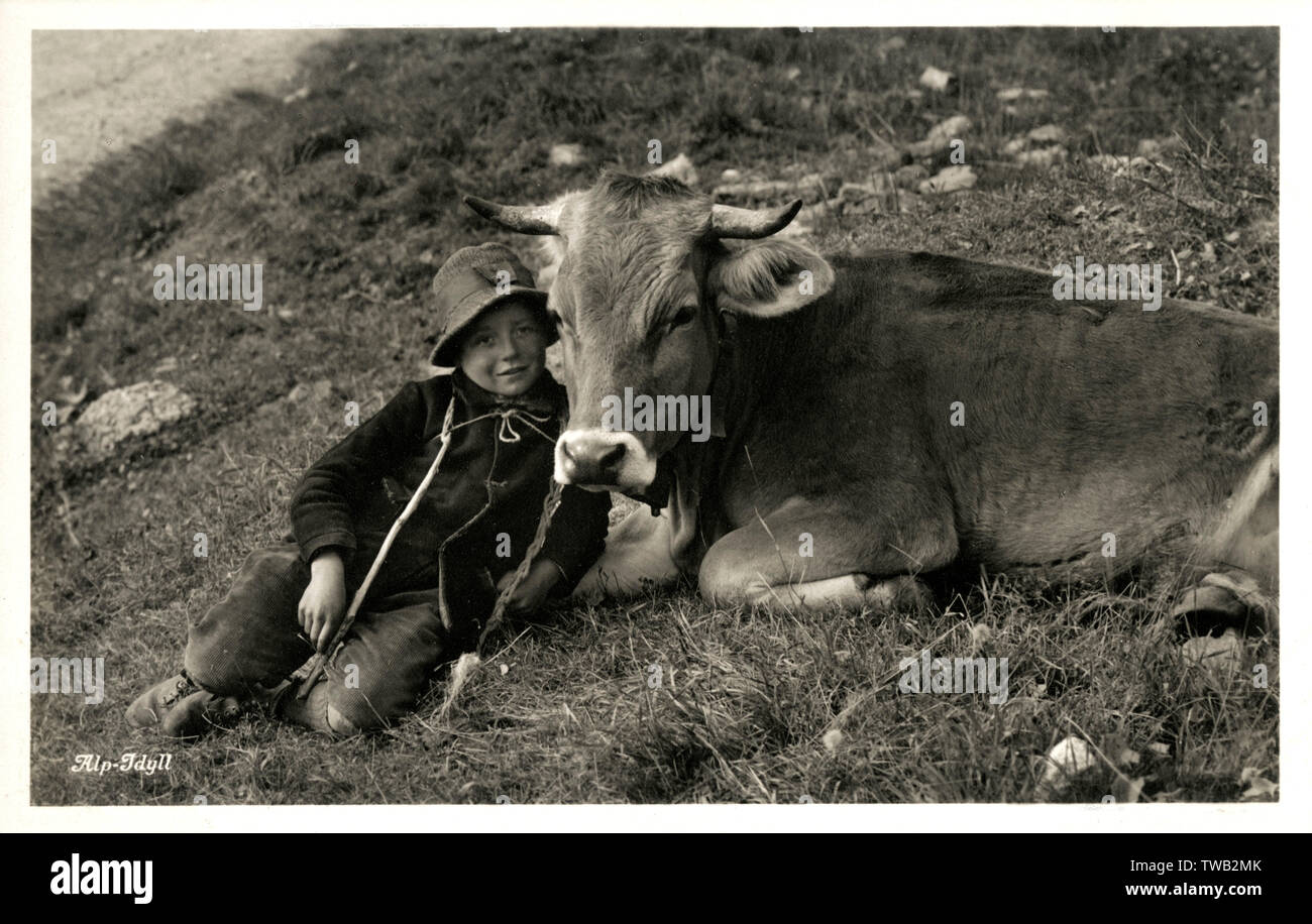 Cow and shepherd hi-res stock photography and images - Alamy