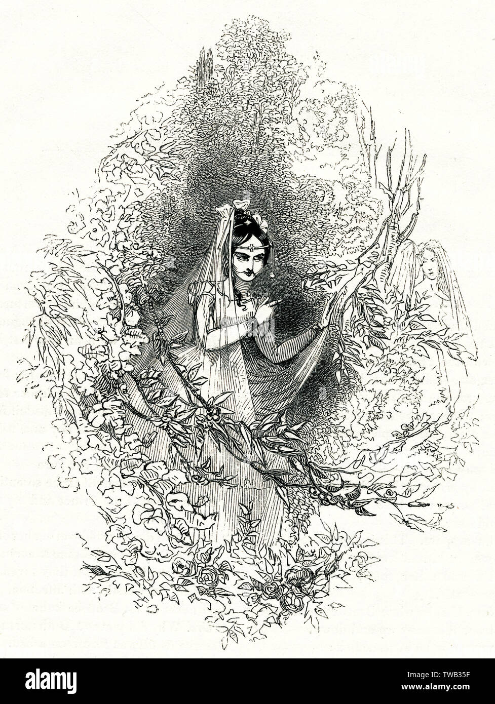Illustration, Much Ado About Nothing, by William Shakespeare Stock ...