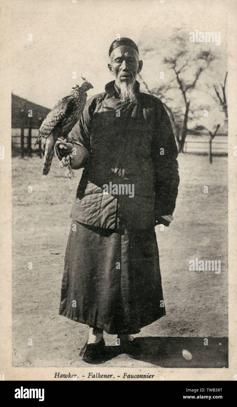Falconer hawker falconry hawk hi-res stock photography and images - Alamy