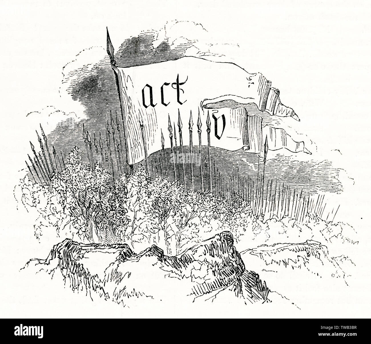 Birnam Wood Macbeth High Resolution Stock Photography and Images - Alamy