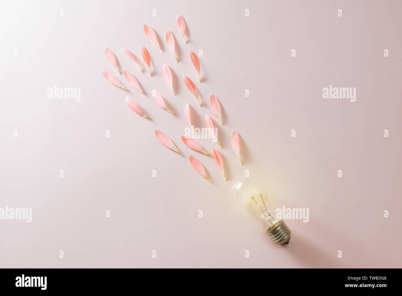 Light bulb beautiful flower hi-res stock photography and images - Alamy