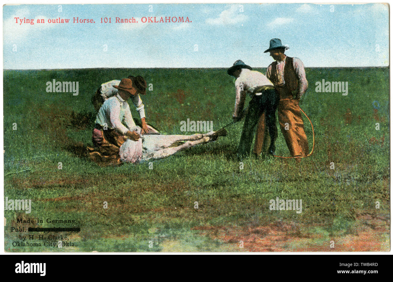 Cowboys tying an outlaw horse, 101 Ranch, Oklahoma, USA Stock Photo - Alamy