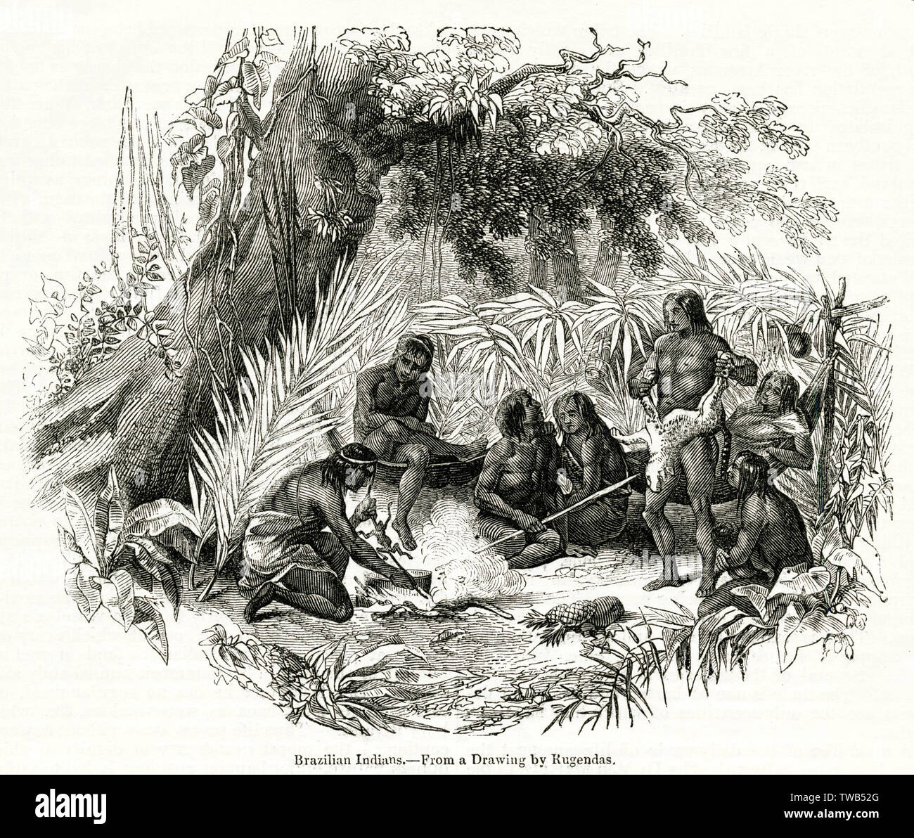 Indigenous people of Brazil, South America Stock Photo - Alamy