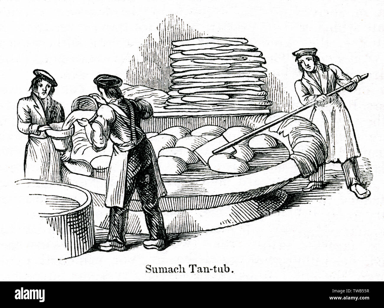 Goatskins Cut Out Stock Images & Pictures - Alamy