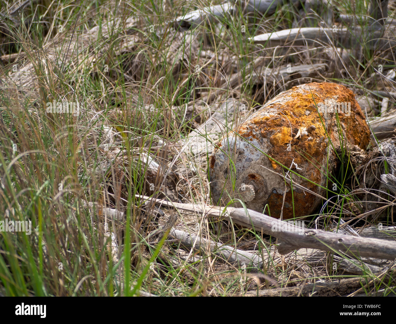 Rusting cylinder on beach. Ecology issue, problem. Environmental ...