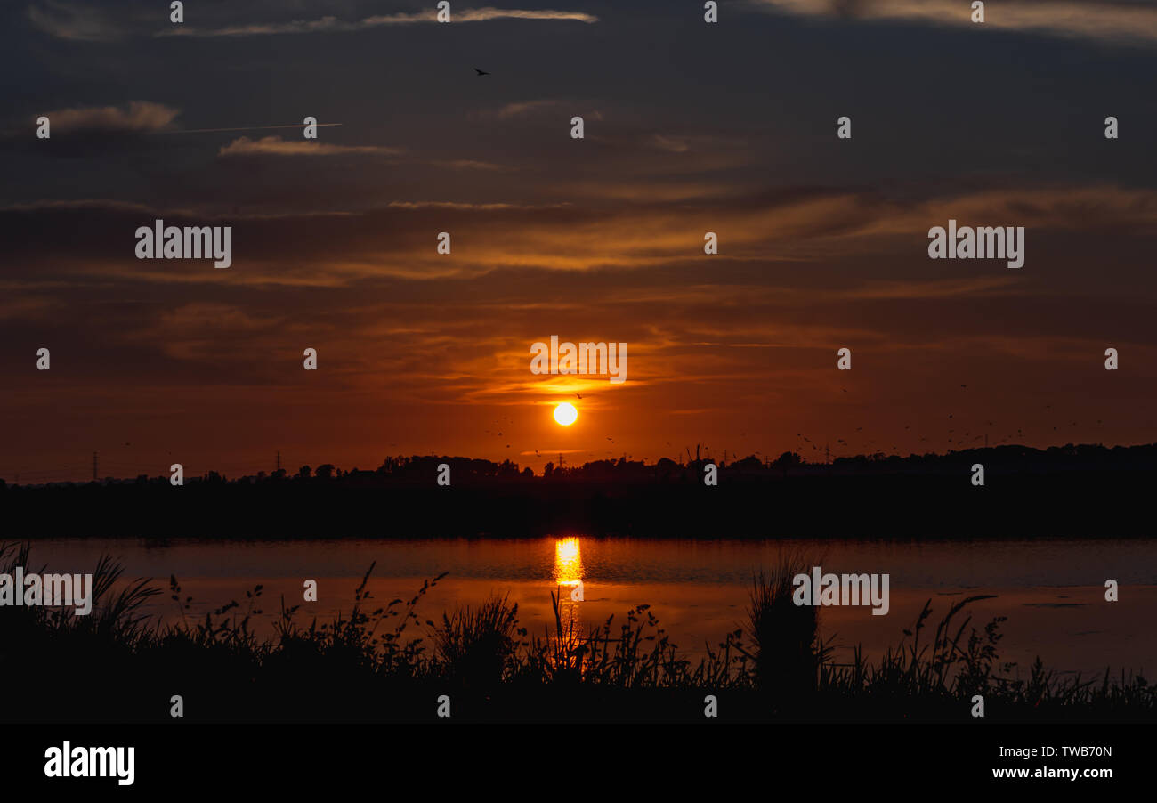 Amazing sunset by the water at natural reservation De Onlanden ...