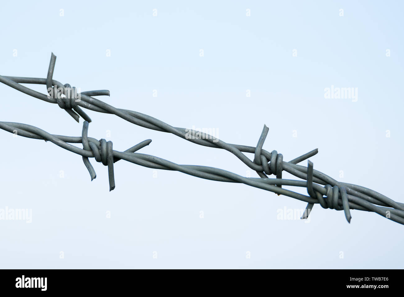 Barbed wire Close Up Stock Photo - Alamy