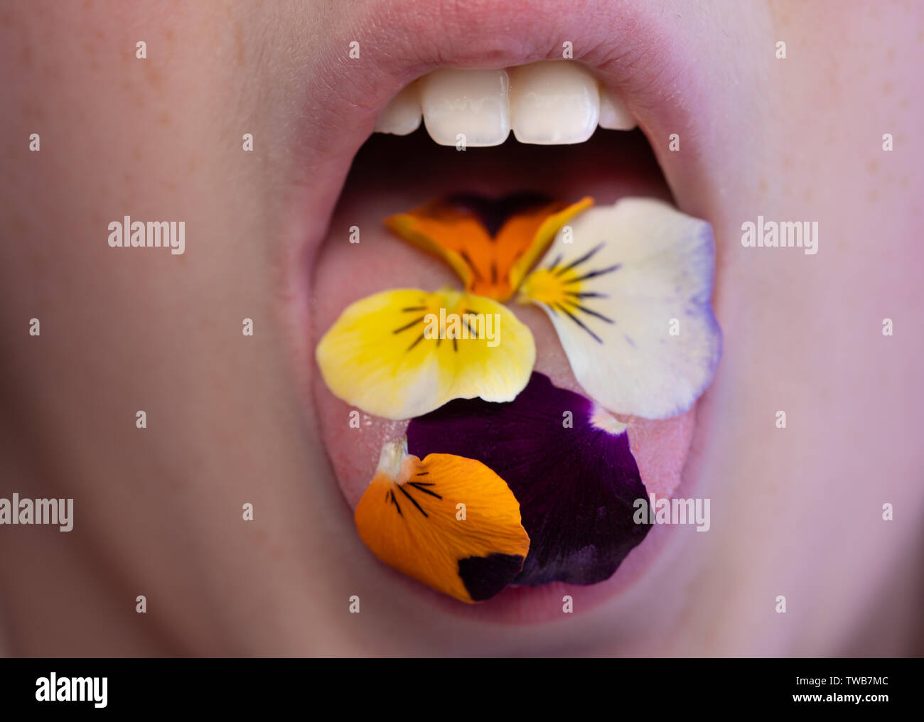 Girl eating edible flower petals in her mouth Stock Photo - Alamy