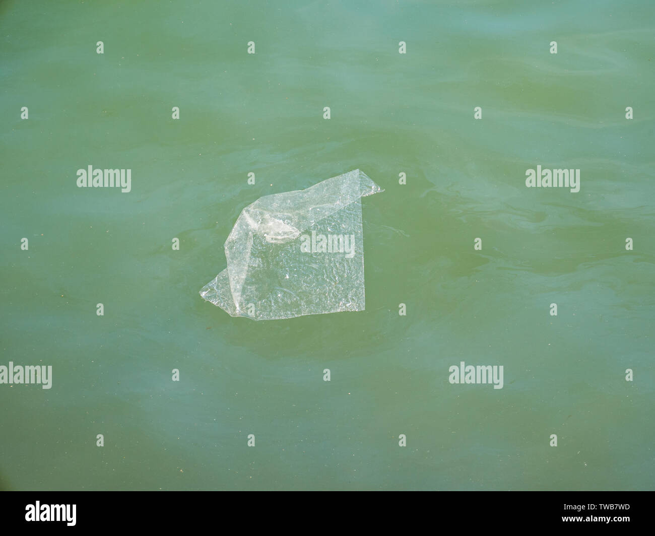 Plastic bag floating on sea surface Stock Photo - Alamy