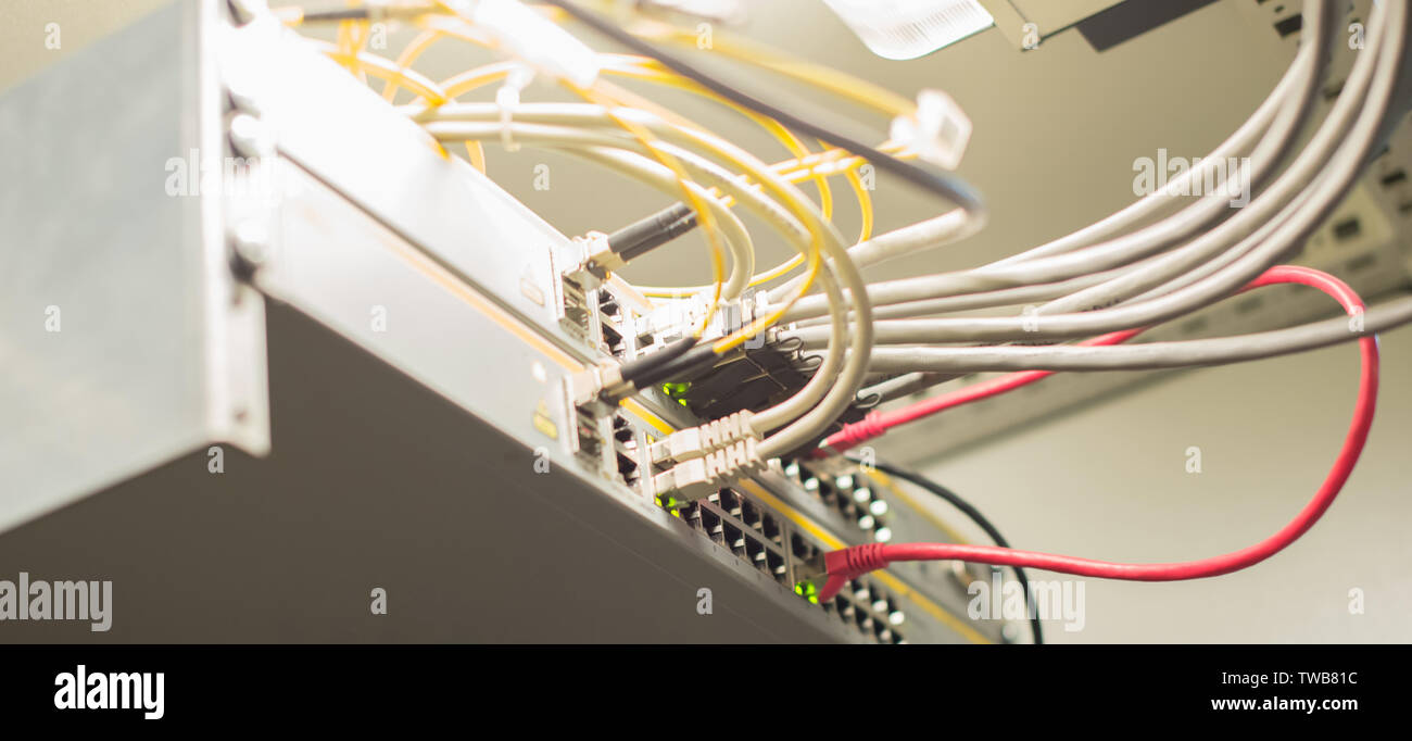 Network cables connected to an ethernet ports. Equipment automatic ...