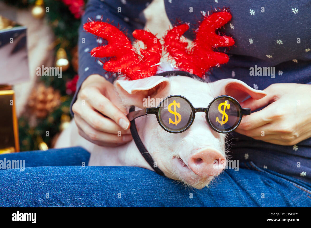Lap horns hi-res stock photography and images - Alamy