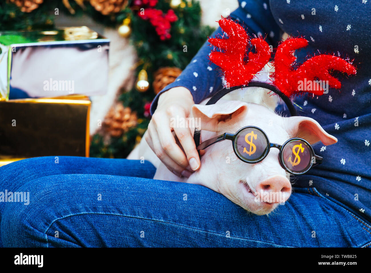 Lap horns hi-res stock photography and images - Alamy