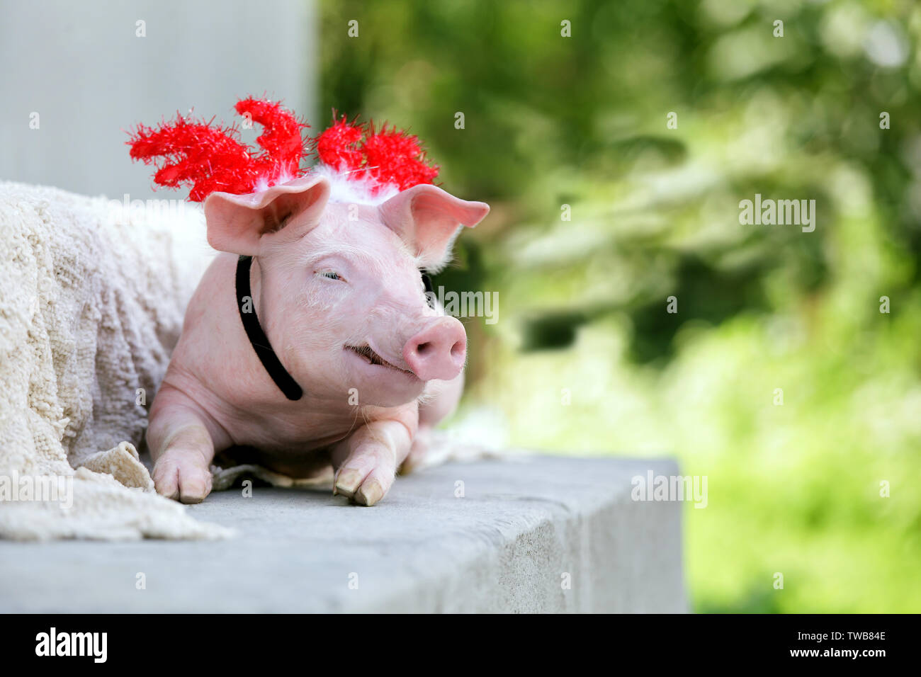 Maiden friendship hi-res stock photography and images - Alamy