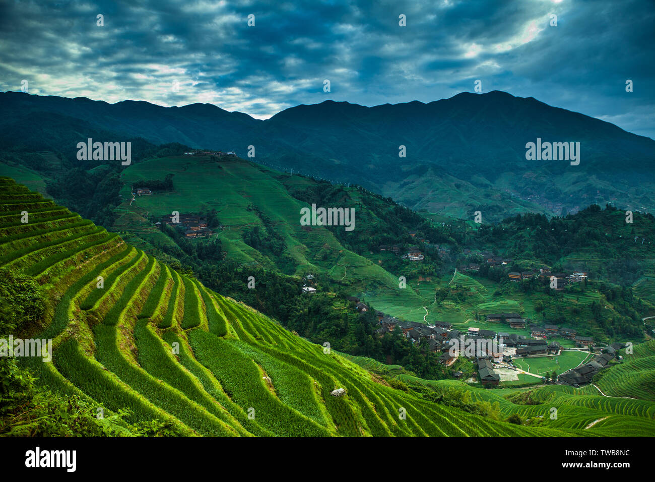 Longji terraces hi-res stock photography and images - Alamy