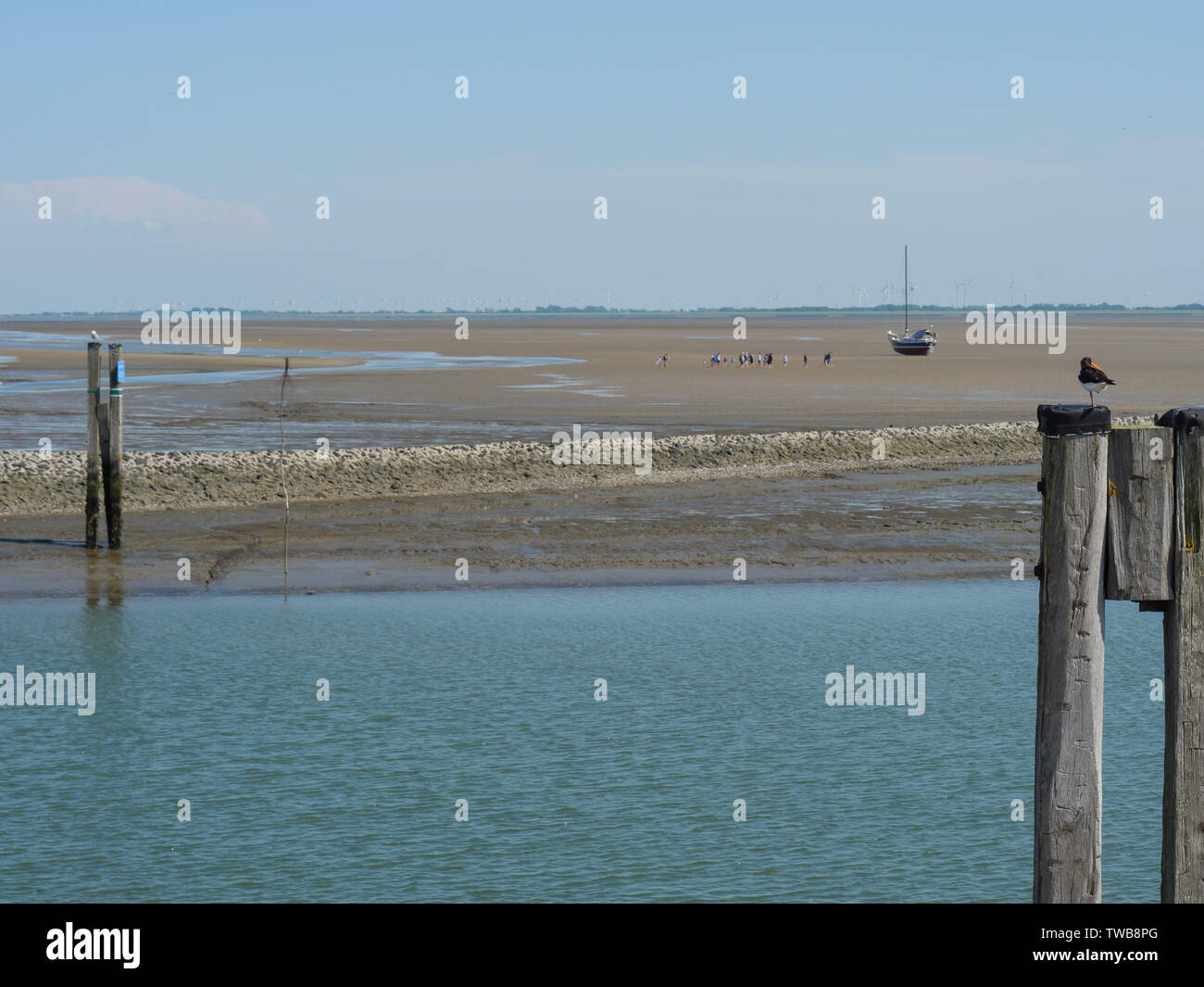 baltrum in the North sea Stock Photo - Alamy