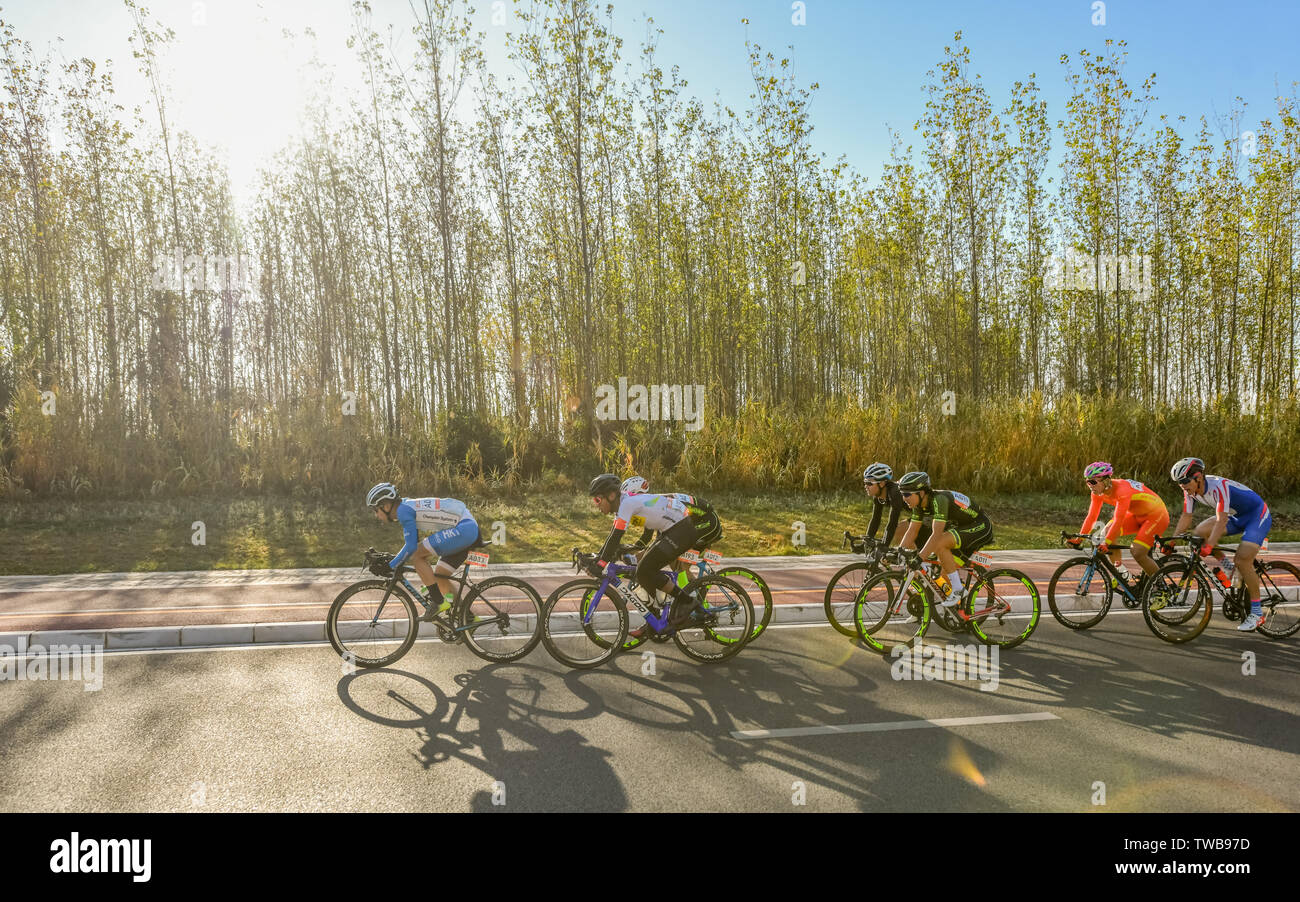 Road cycling race photos Stock Photo - Alamy