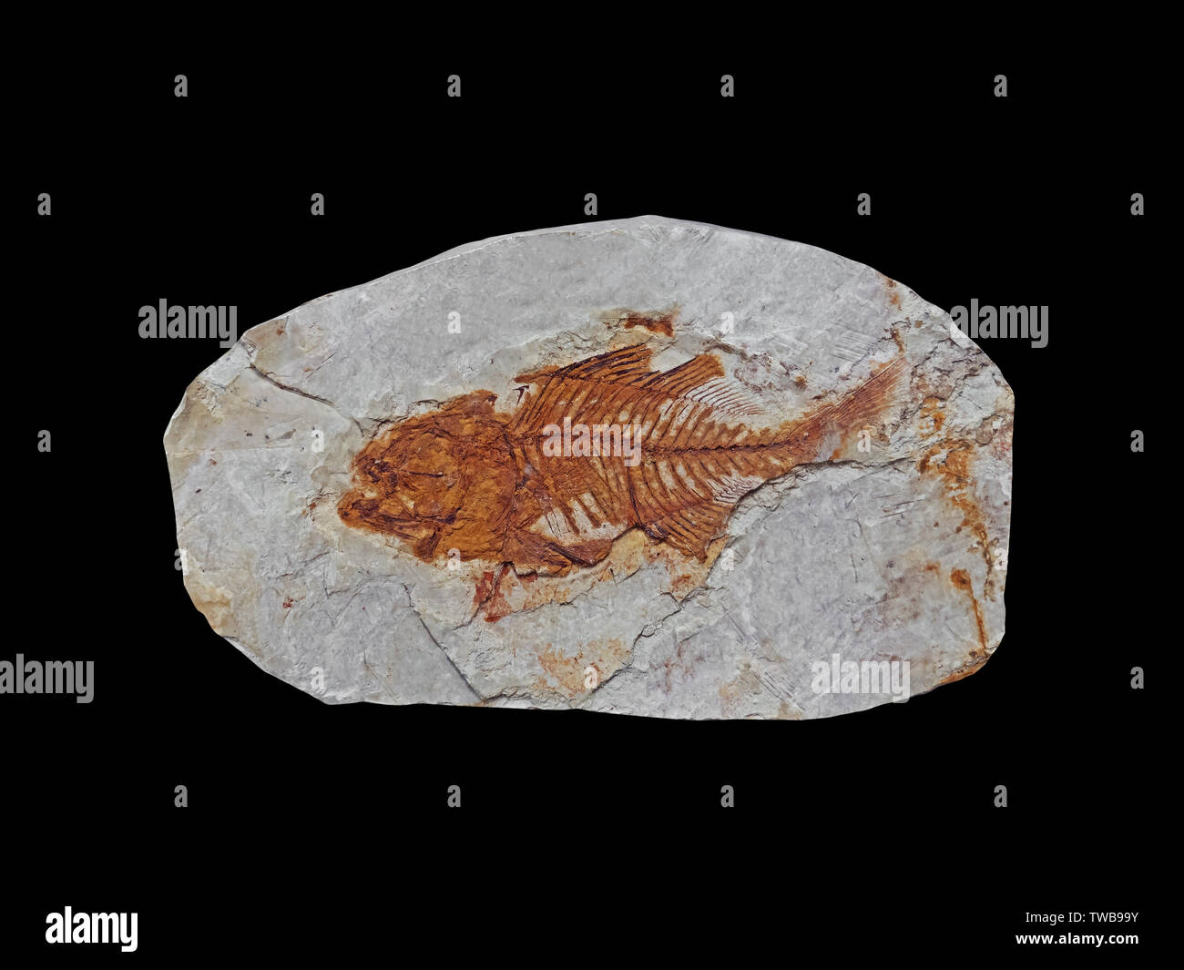 Brown sandstone specimen hi-res stock photography and images - Alamy